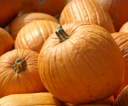 10 Facts About Pumpkins